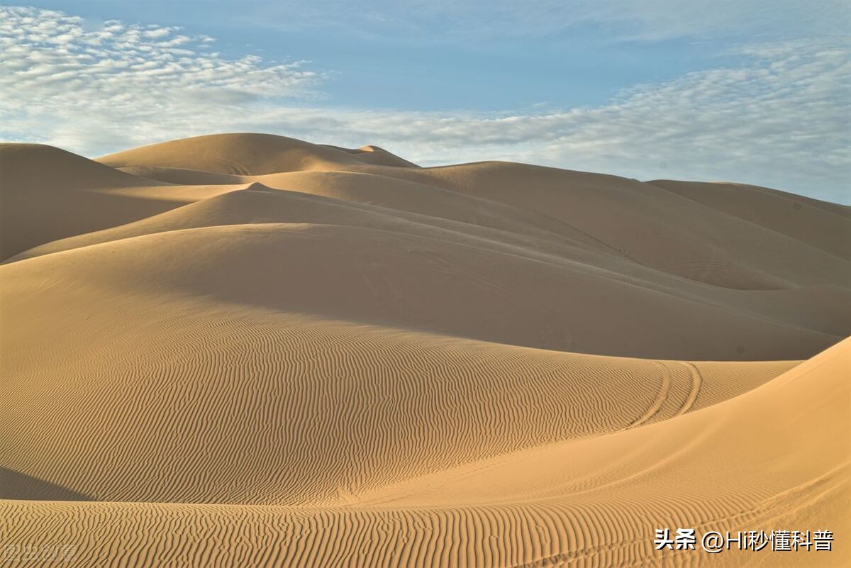 "Fox face" appeared after rain in Xinjiang desert!This fox is not ...