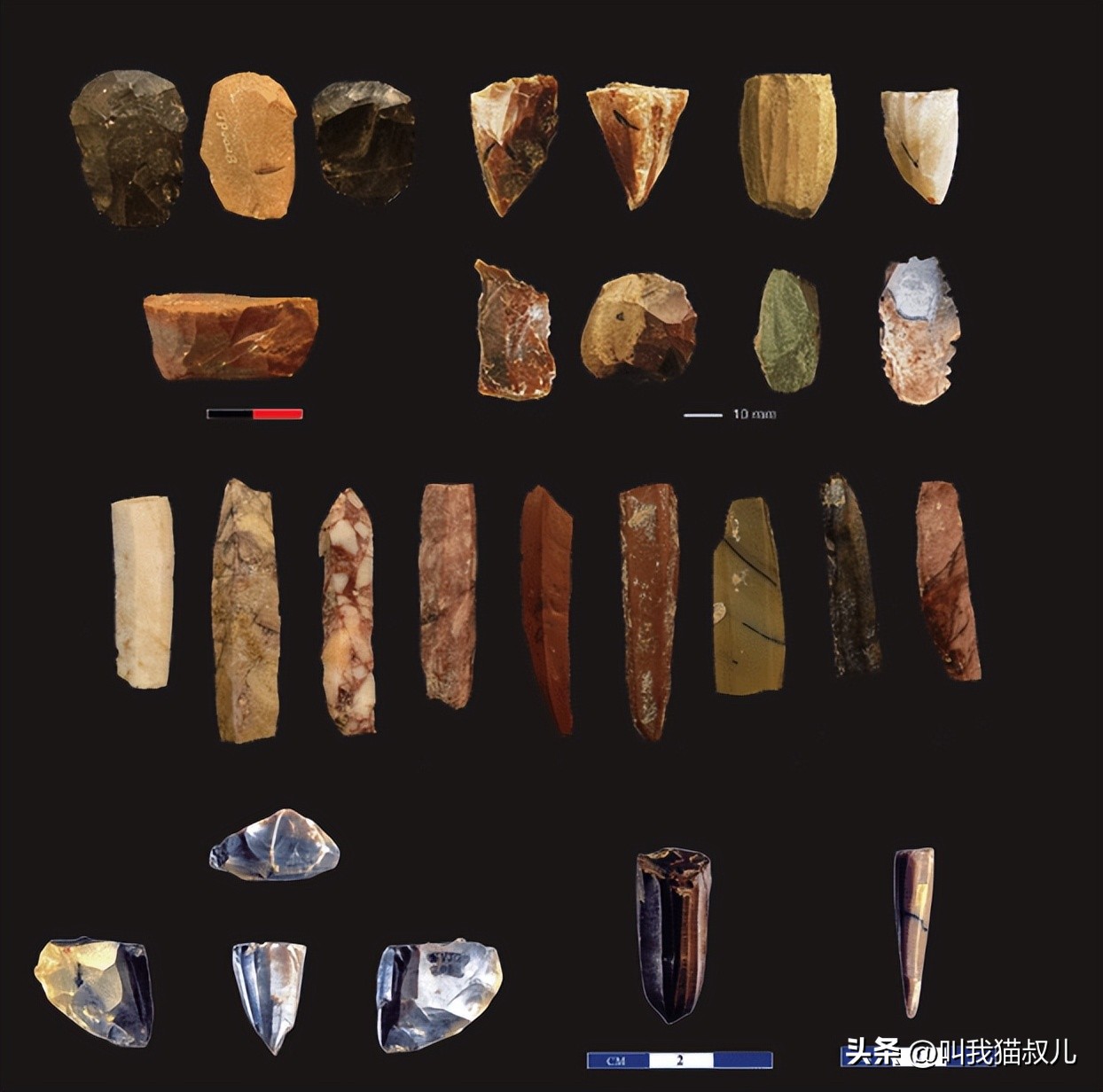 An article to help you understand the development of prehistoric humans ...