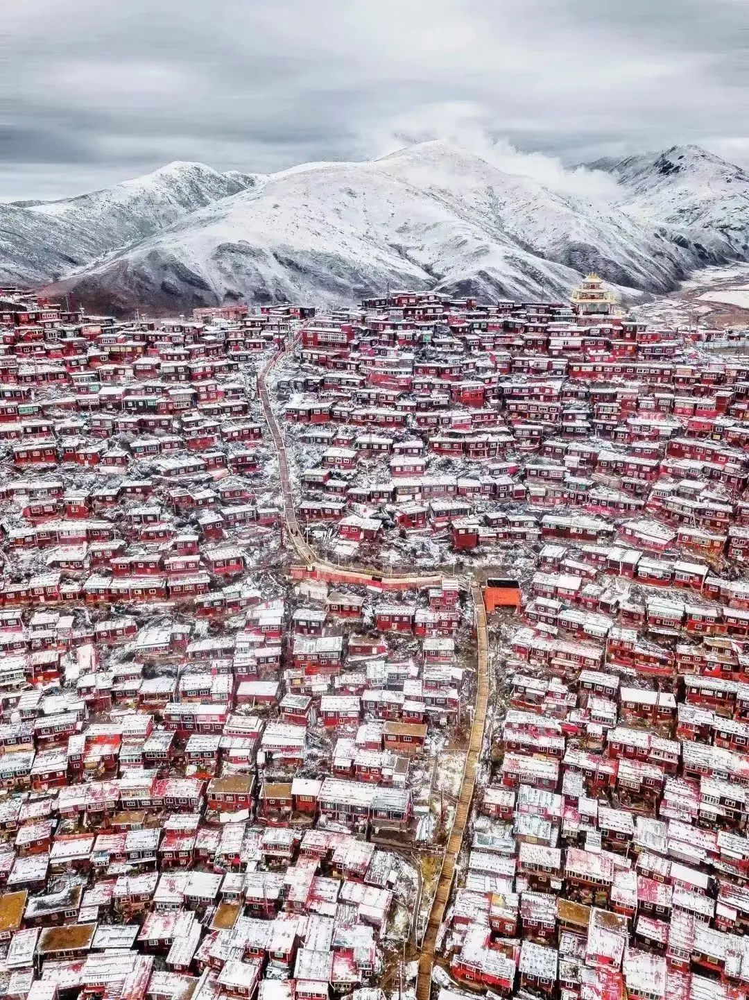 laugh at Zhang Datong - iNEWS