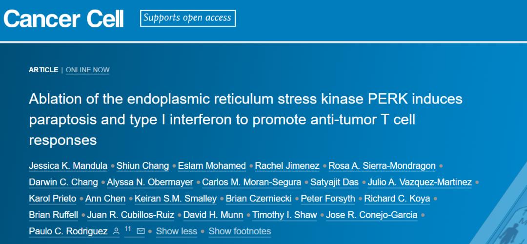 Loss of the endoplasmic reticulum stress kinase PERK induces apoptosis ...