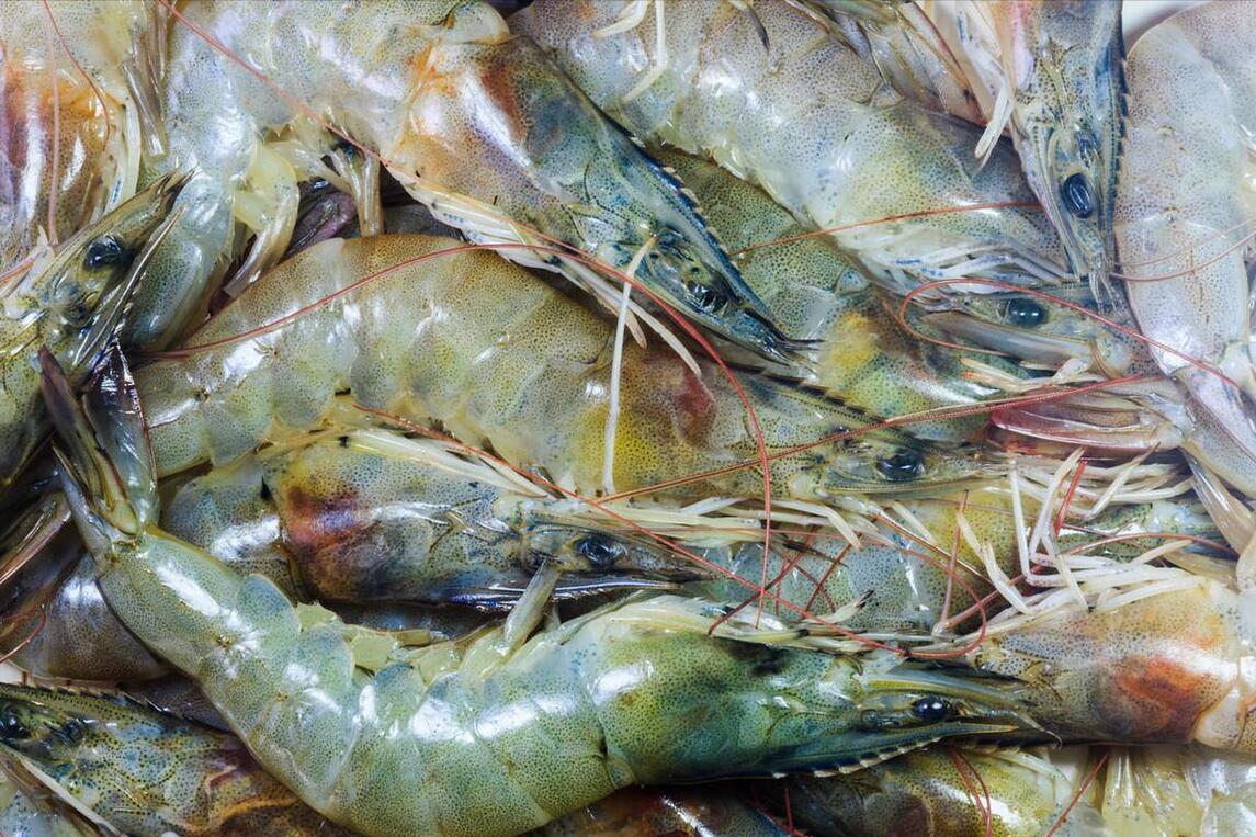 Preserve prawns, freeze them directly or sprinkle them with sugar ...