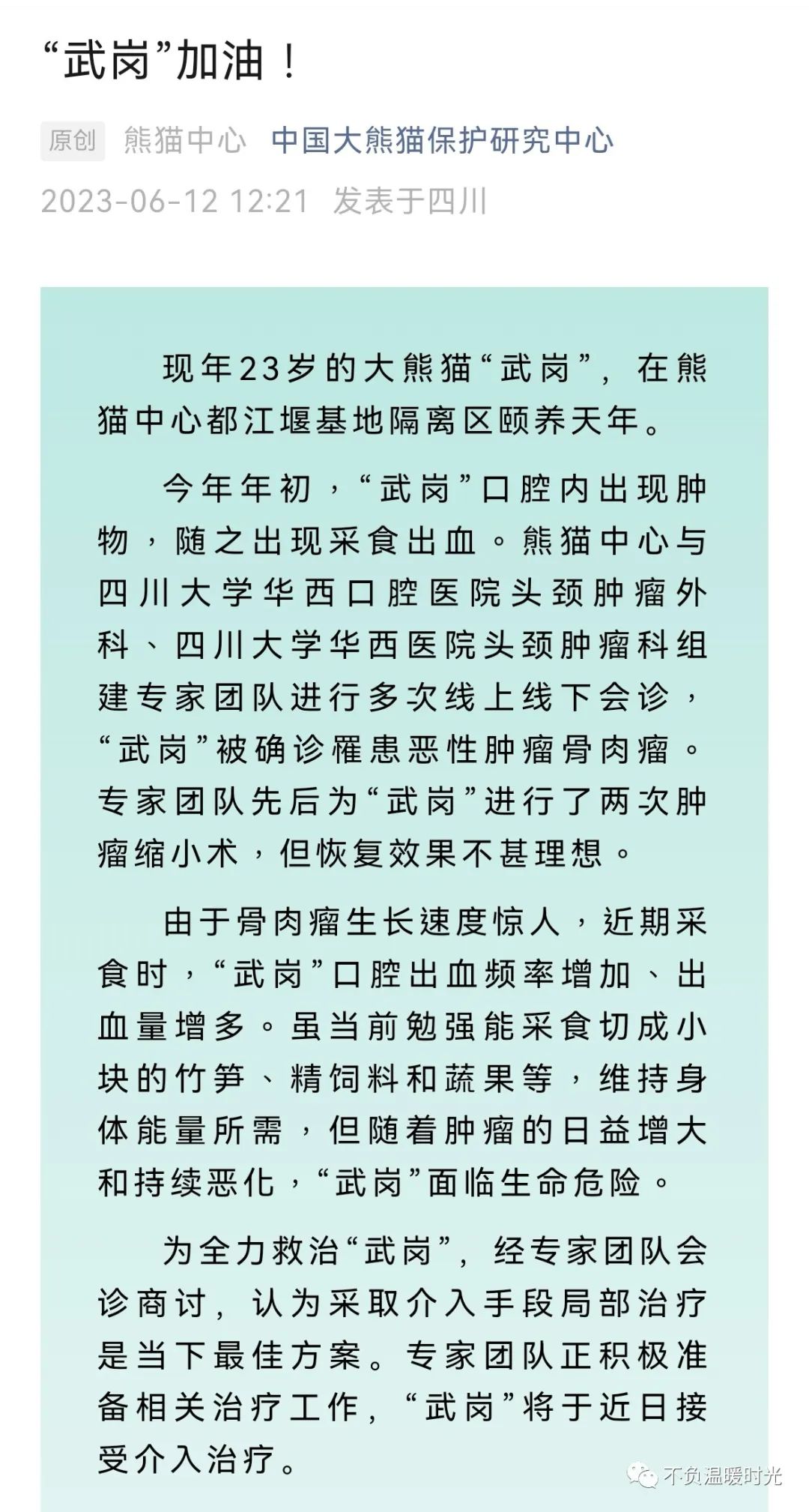 The more outstanding male giant pandas in captivity, the more miserable ...