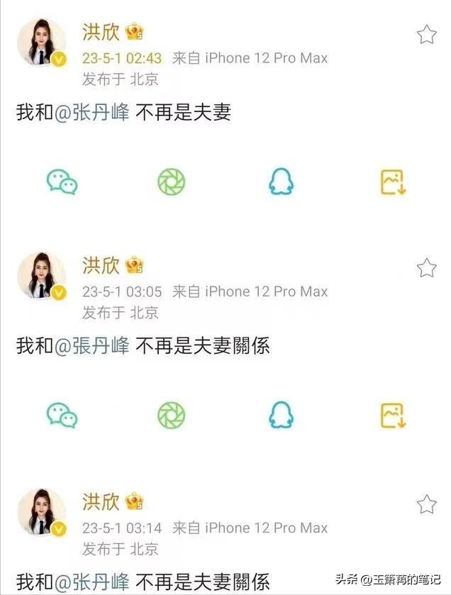 Hong Xin and Zhang Danfeng's divorce turmoil continued to ferment, and the reasons for the ...