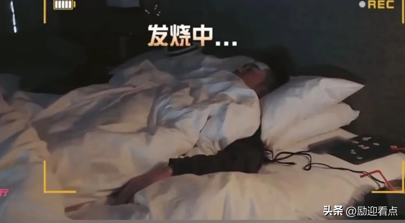 All kinds of friends watch the fun! Chen He was "injured" as soon as he ...