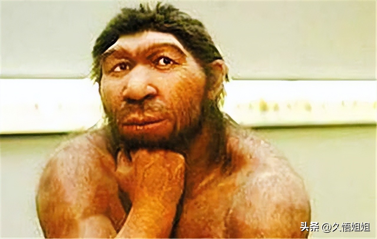 There were a dozen kinds of human beings on the earth, why are we the ...