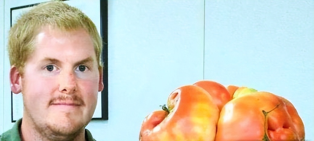 The American man grows the world's largest tomato, weighing nearly 8 ...