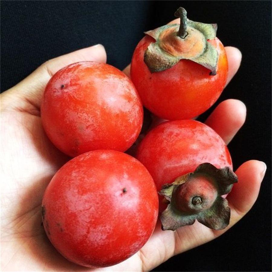 Real whole grain family brewing method: the method of soaking wild ...