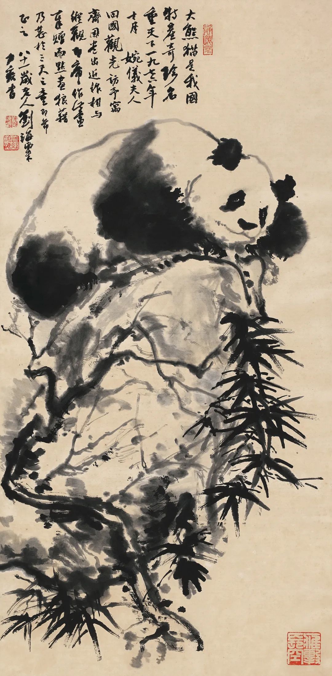 Liu Haisu's Panda - iNEWS