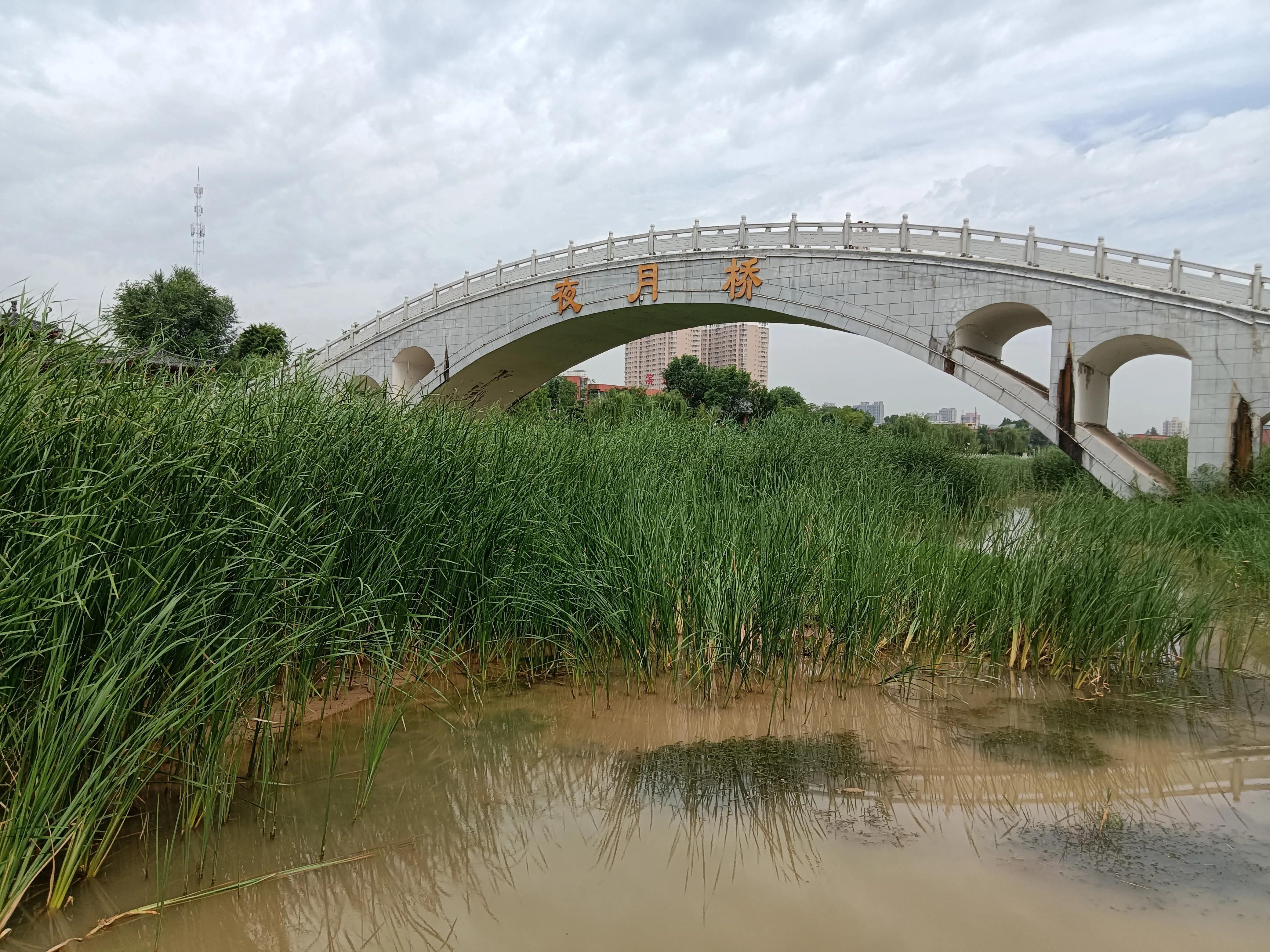 remember coco lee - iNEWS