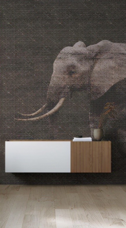 Which wallpaper is better and what are the differences? - iNEWS