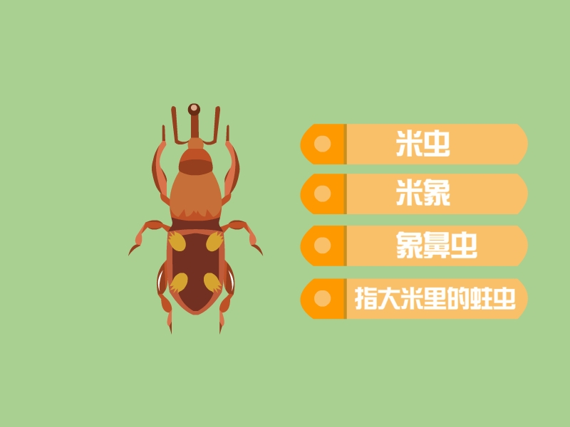 What is the origin of the black bugs in rice? - iNEWS