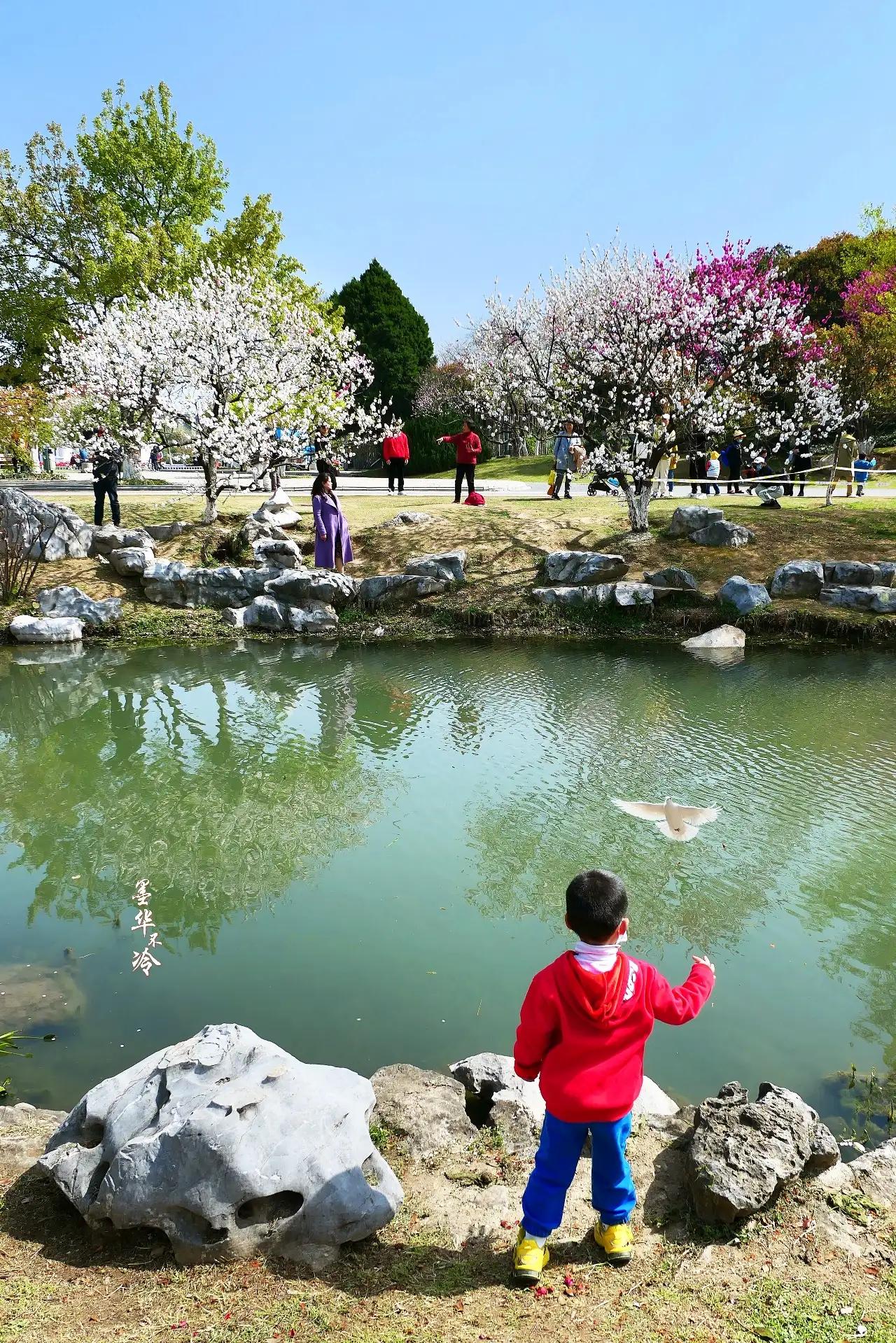 Every spring love letter hides tenderness - iNEWS