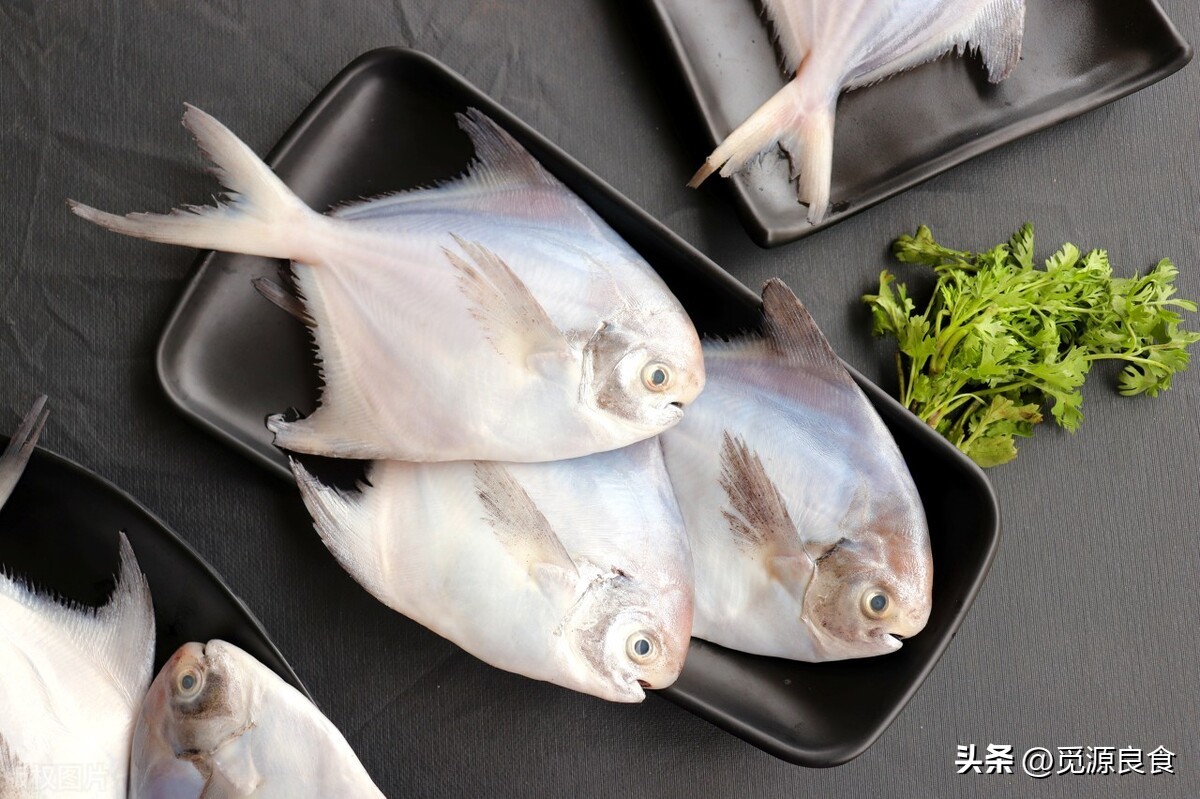 Both are pomfret, but do you know which is tastier?How to distinguish ...