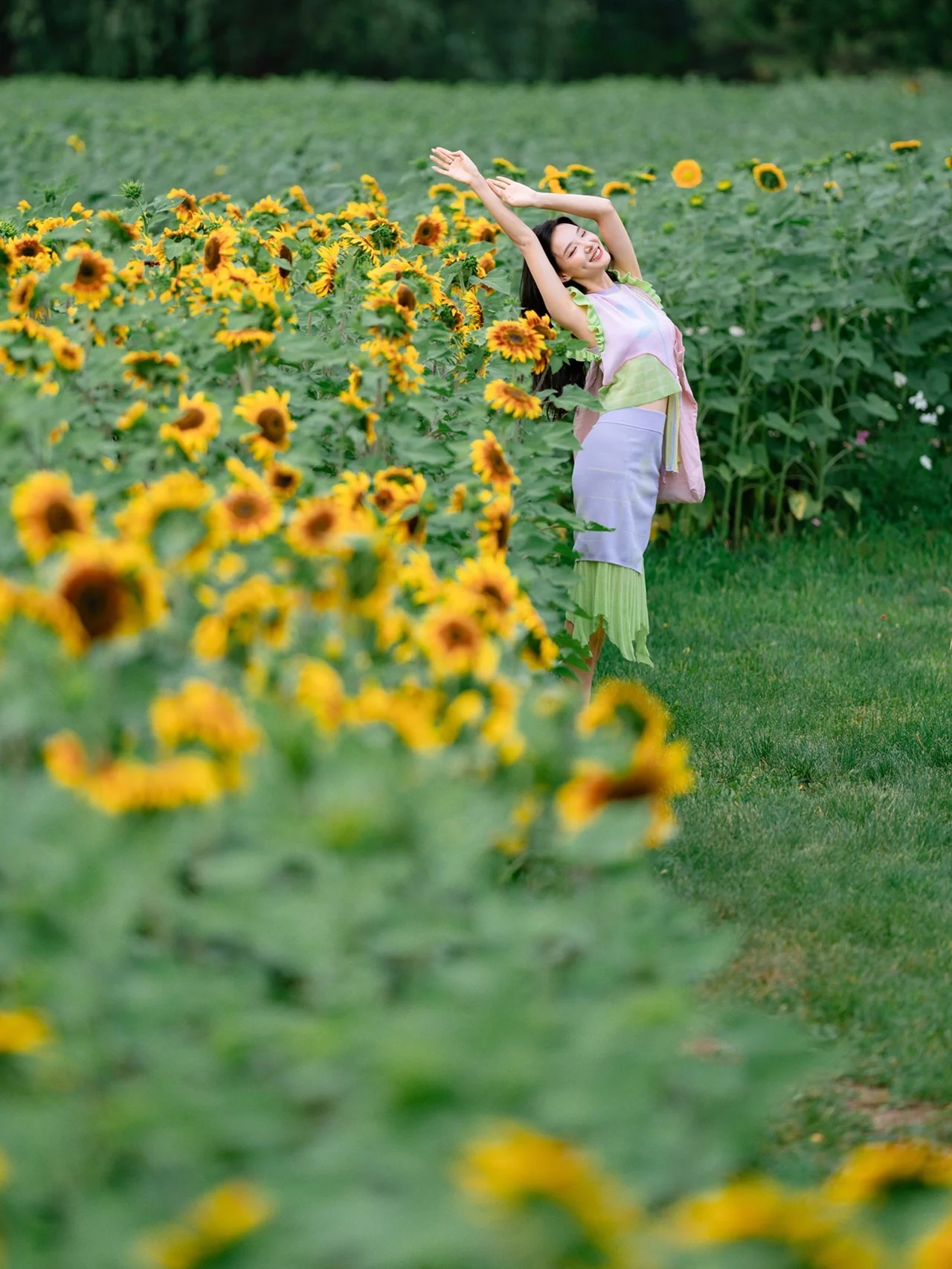 8 skills are very important to take good photos of sunflower portraits ...