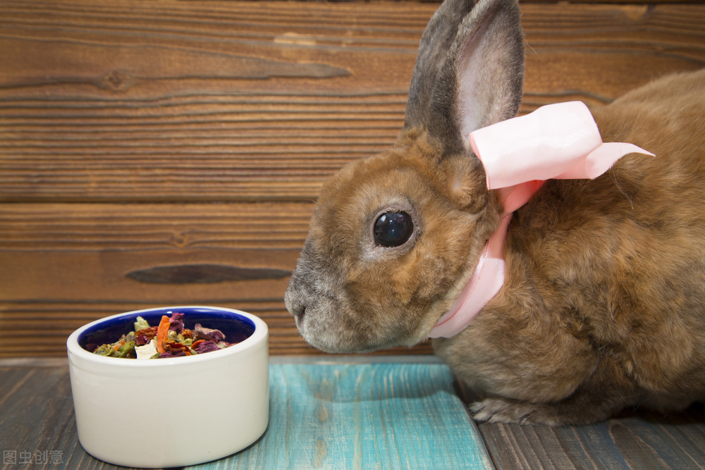 What medicine is used to treat coccidiosis in rabbits - iNEWS