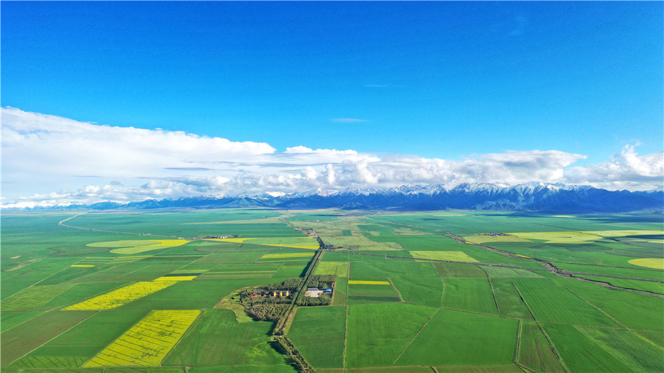 Shandan Racecourse's fertile fields are picturesque - iNEWS