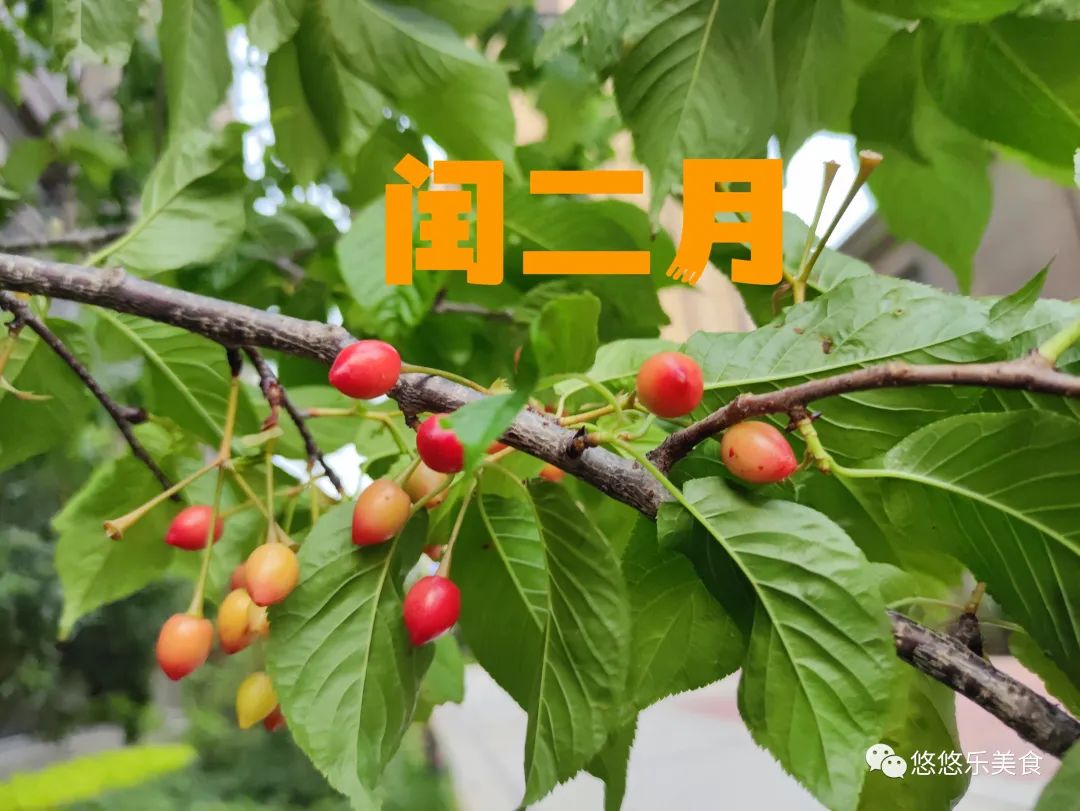 In the double spring year of the leap month, the old man said: The 4 ...