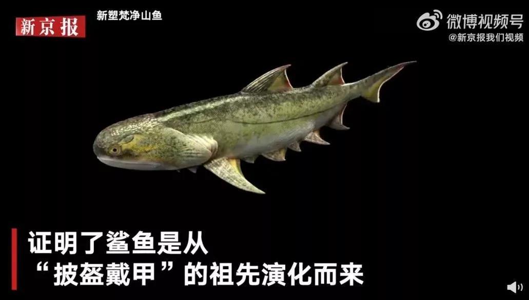 Humans evolved from fish, and scientists led by Zhu Min, an academician ...