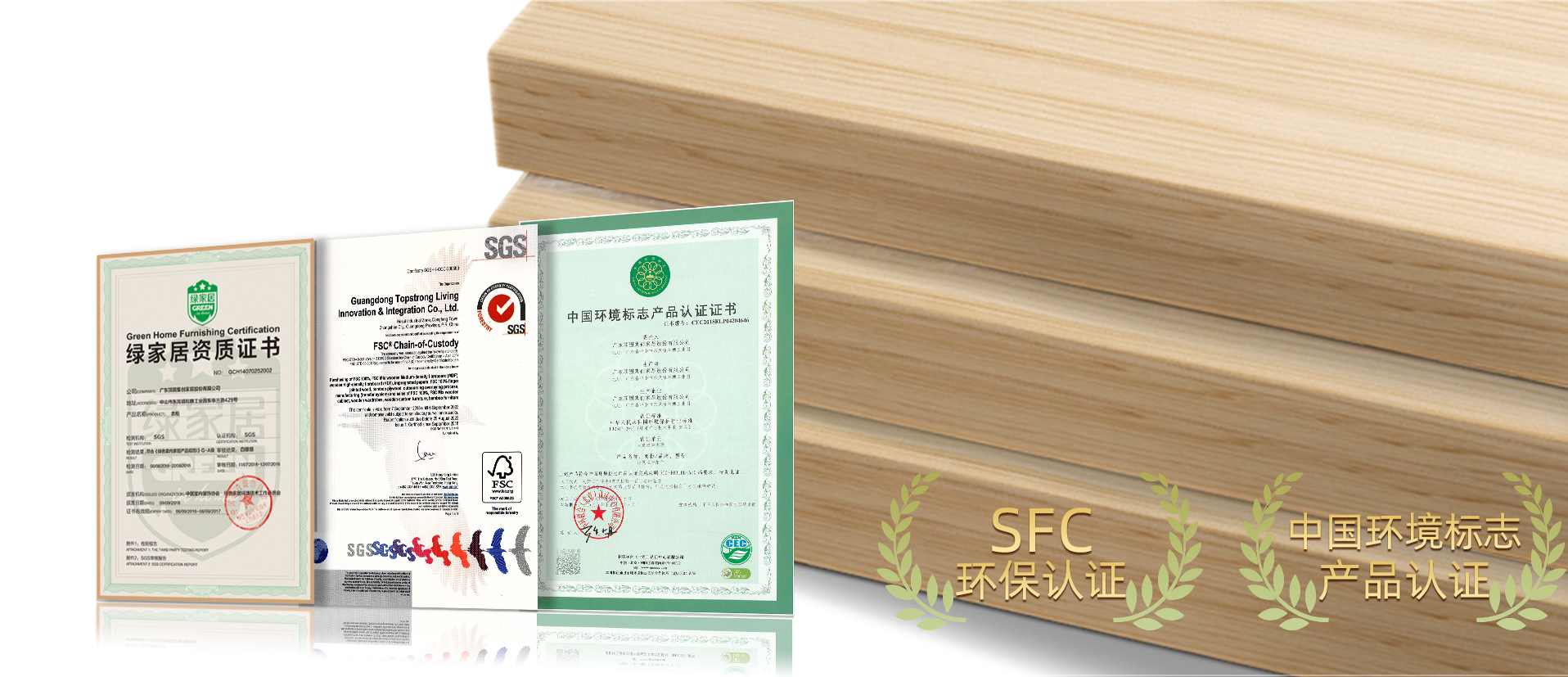 The integration of nanometer and ruler is truly realized in one step ...