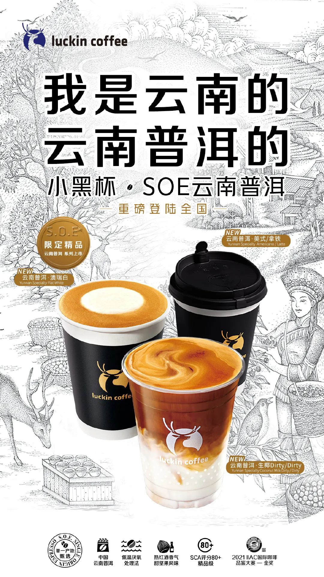 Yunnan boutique beans have been on the shelves for two consecutive ...