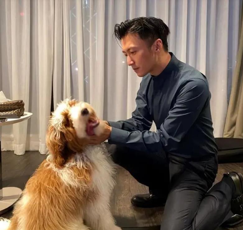 Is Feng Feilian over? Hong Kong media revealed that Nicholas Tse and ...