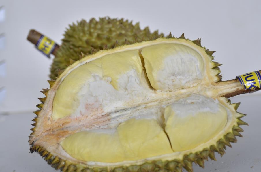 Durian is full of treasures, don't throw away the durian shells and ...