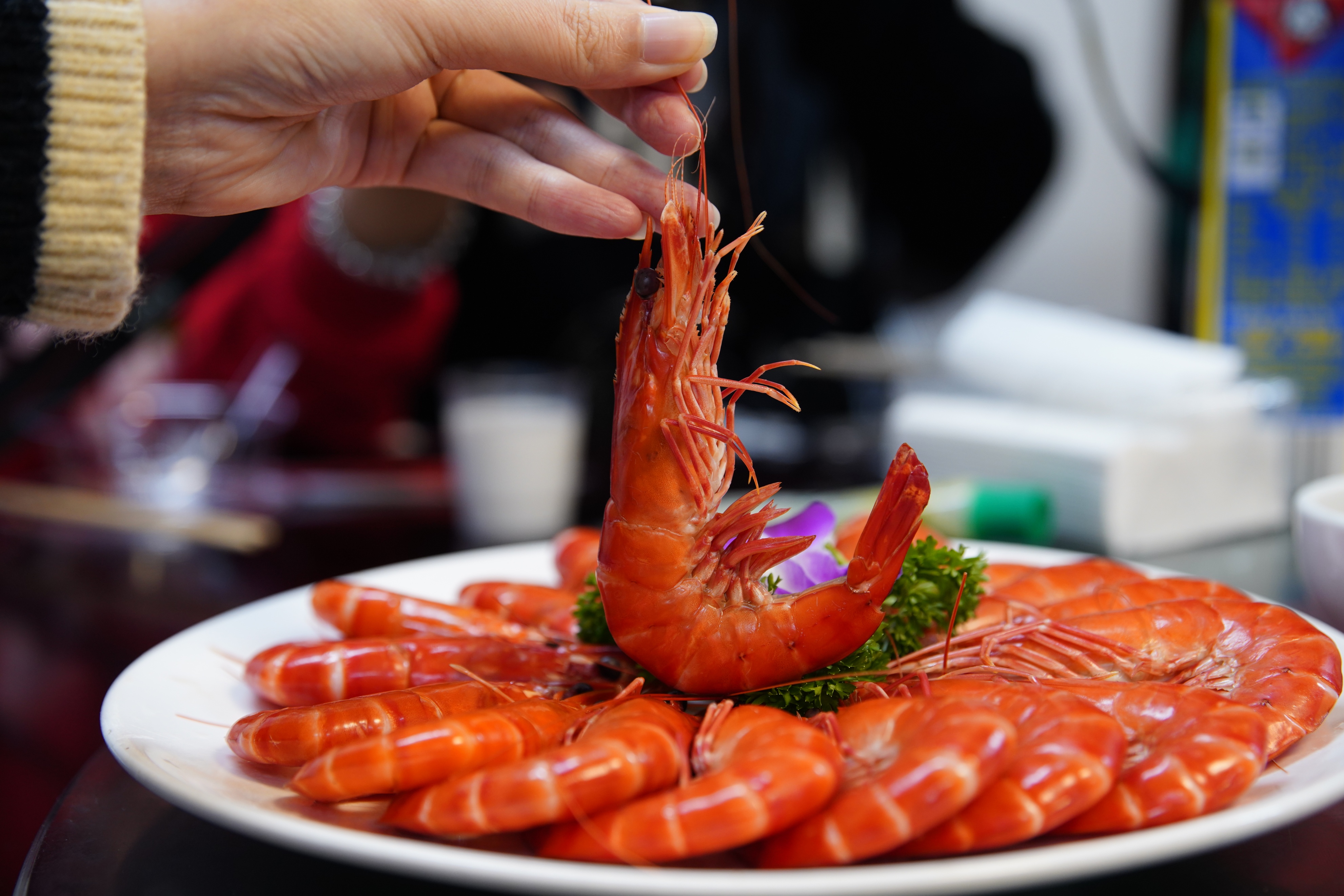 Balang fish dominates the lobster and crab pairing, and this seafood ...