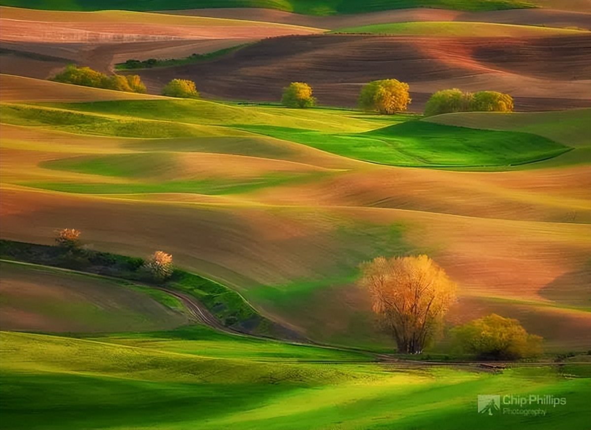colorful grassland scenery - iMedia