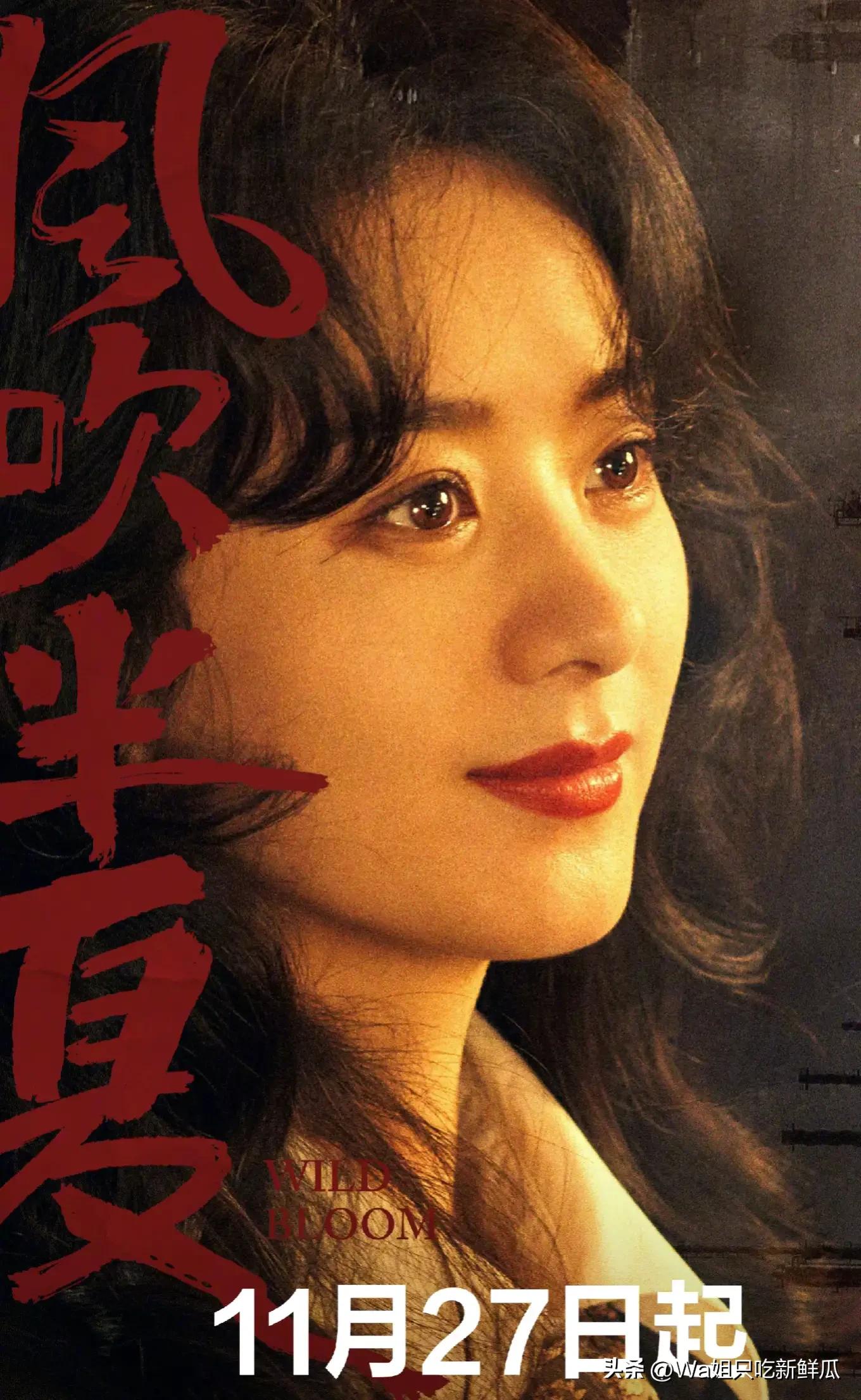 The village girl's counterattack?How Zhao Liying became a first-line ...