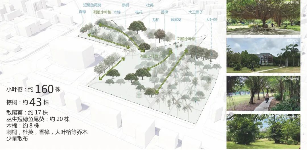 Shekou Time Lawn Park Landscape Design - iNEWS