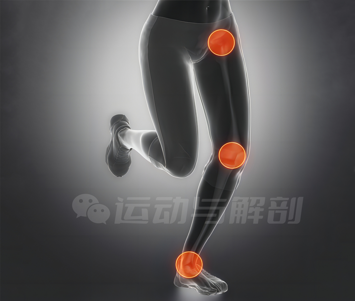 6 truths about trapezius muscle compensation, girls must read! - iMedia