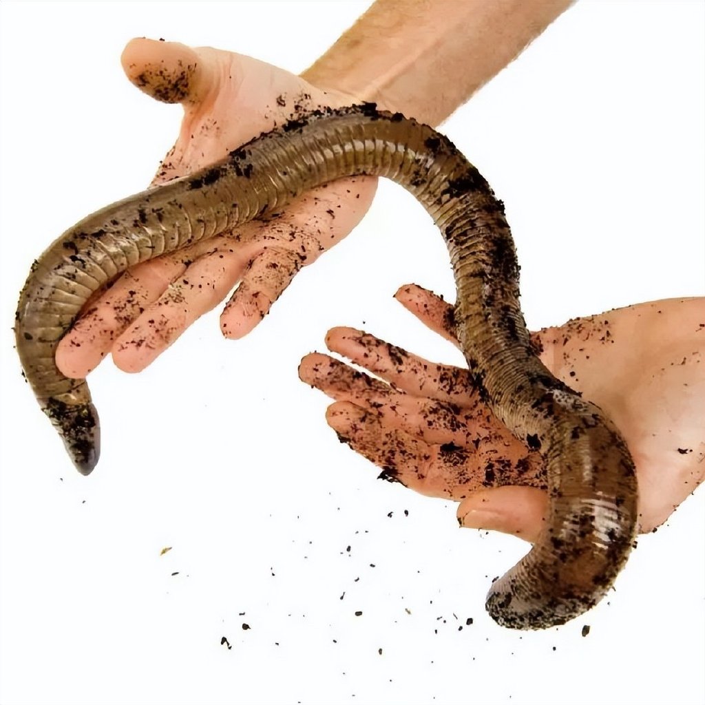 Because it is rare, cherish it and keep the unique beauty for the world ...