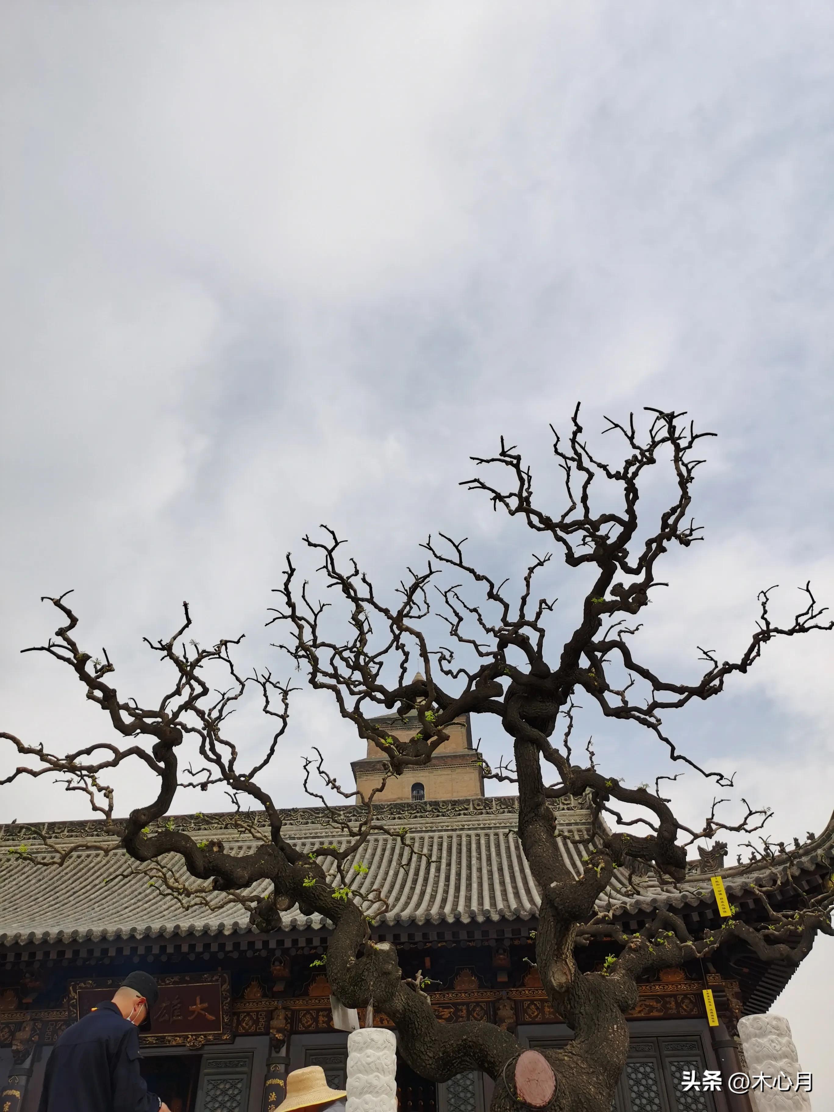 Master Xuanzang and the Millennium Wild Goose Pagoda - iMedia