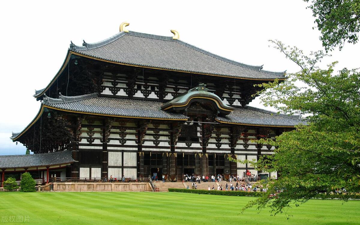 Royal Experience: Immerse yourself in the mystery and grandeur of ...