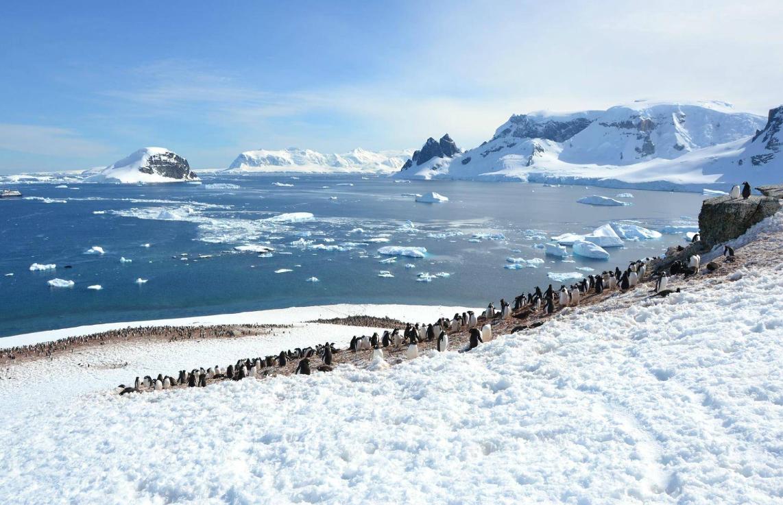 Why is there no terrestrial biome in Antarctica? Demystifying the ...