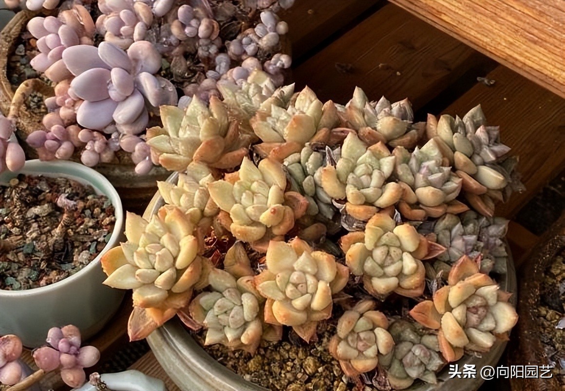 Particles are divided into two types: "soft and hard". Hard particles ...