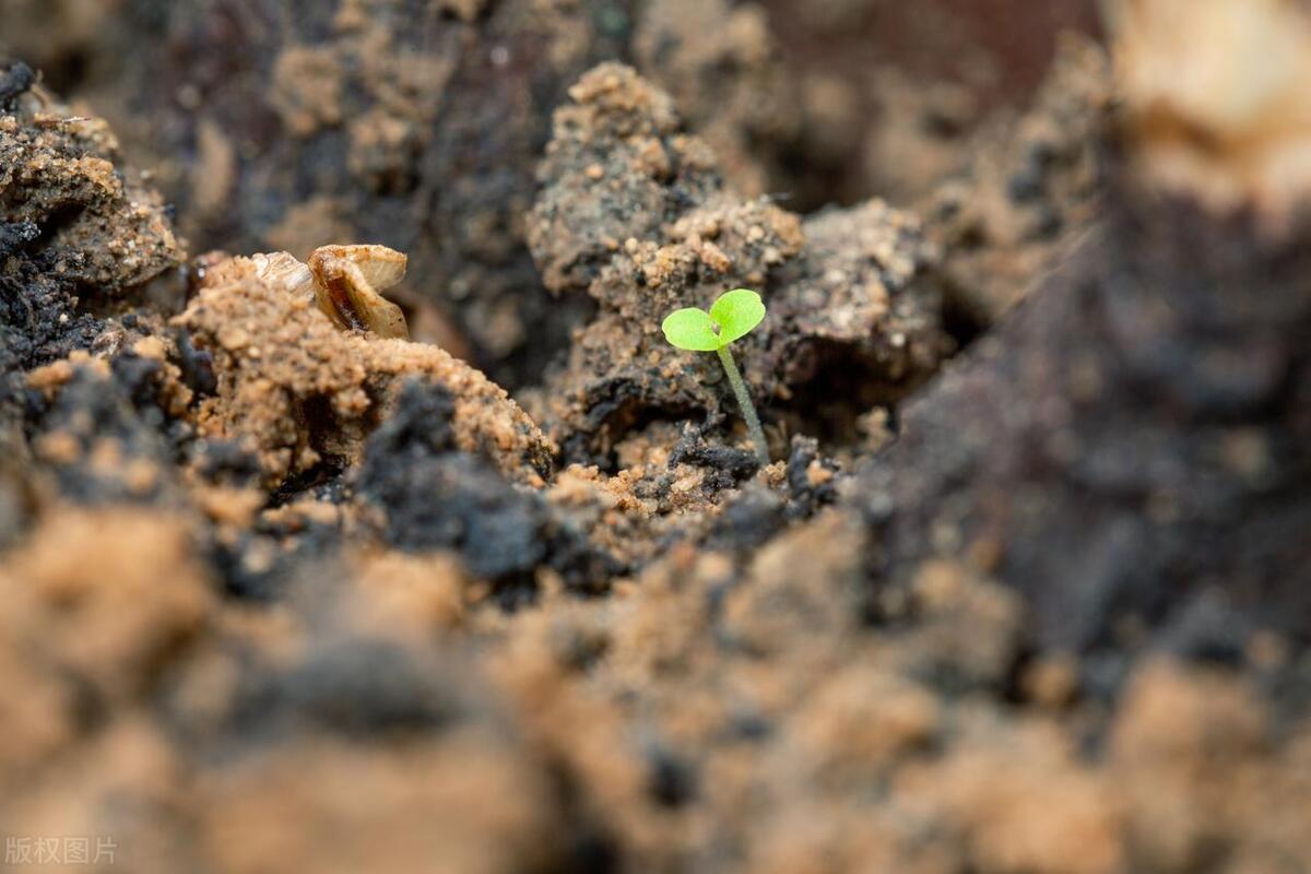 Born against the trend, compatible with downwards and grown upwards ...