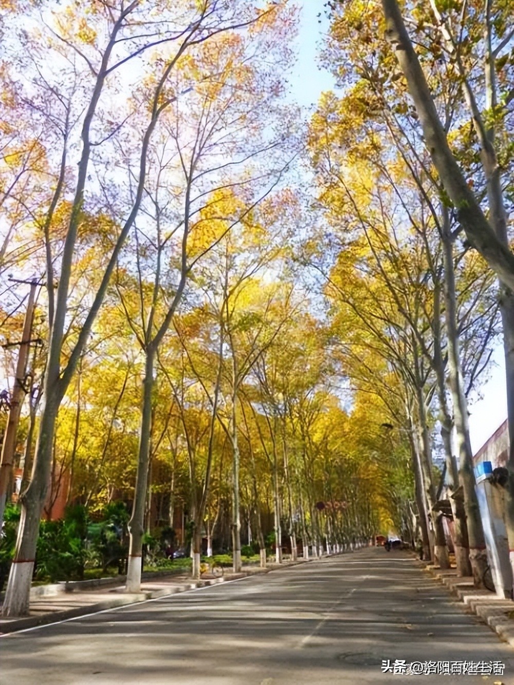 Jianxi "drunk" Meixiyuan Road - iNEWS