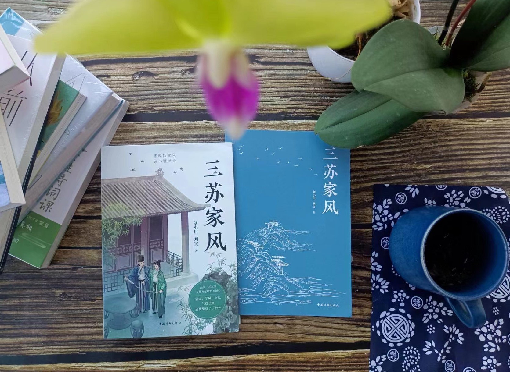 Why is Sansu so good? Sage books are the external cause, while family ...