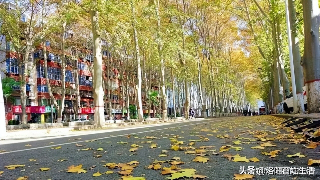Jianxi "drunk" Meixiyuan Road - iNEWS