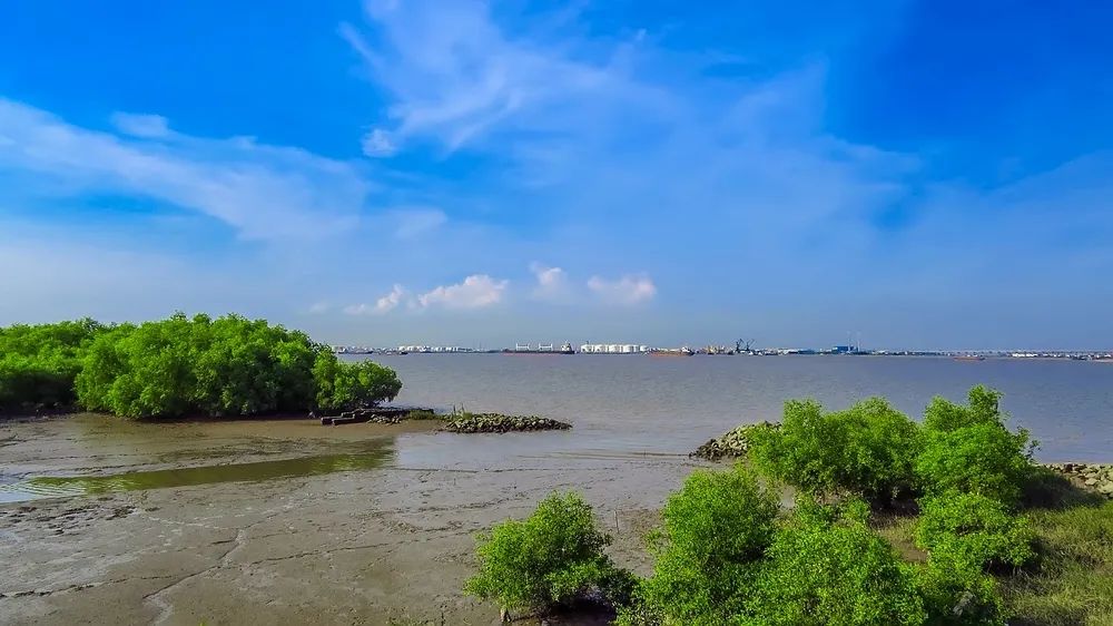 Coastline Ecological Disaster Reduction Monitoring and Early Warning ...