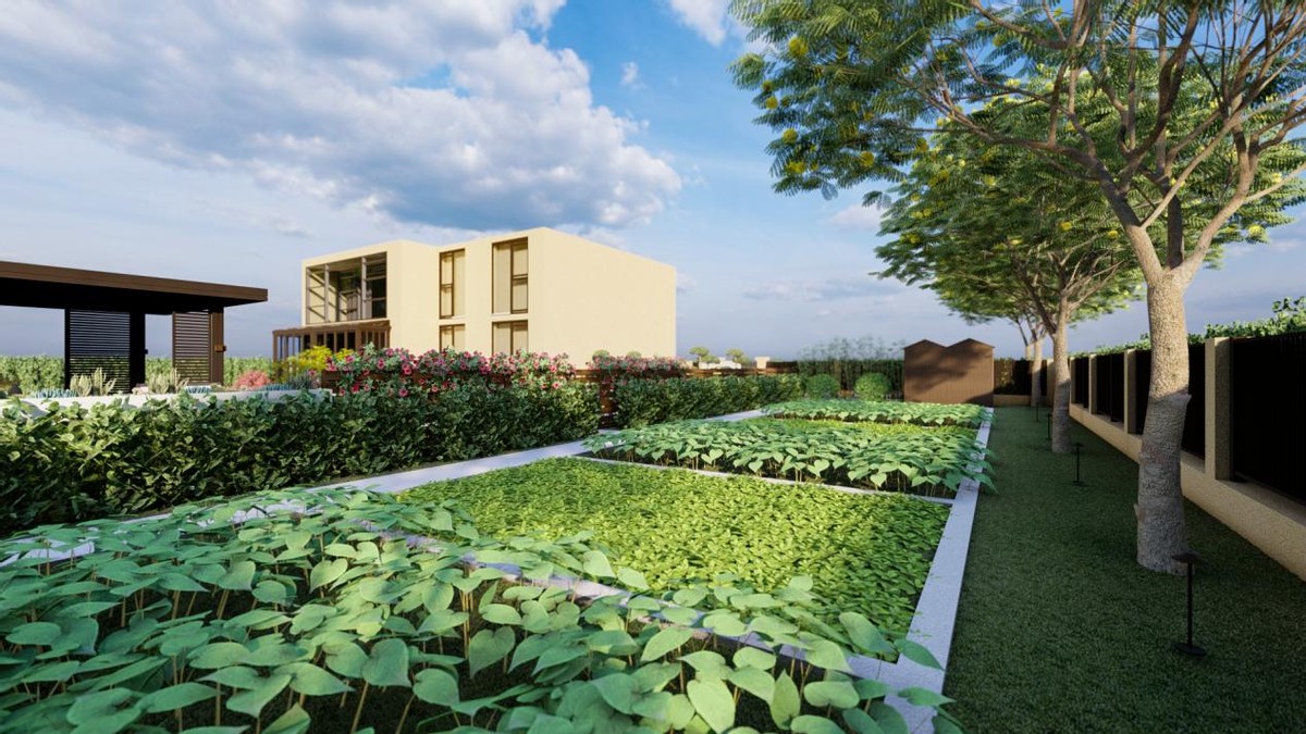 Liu Min: Return to the original - iNEWS