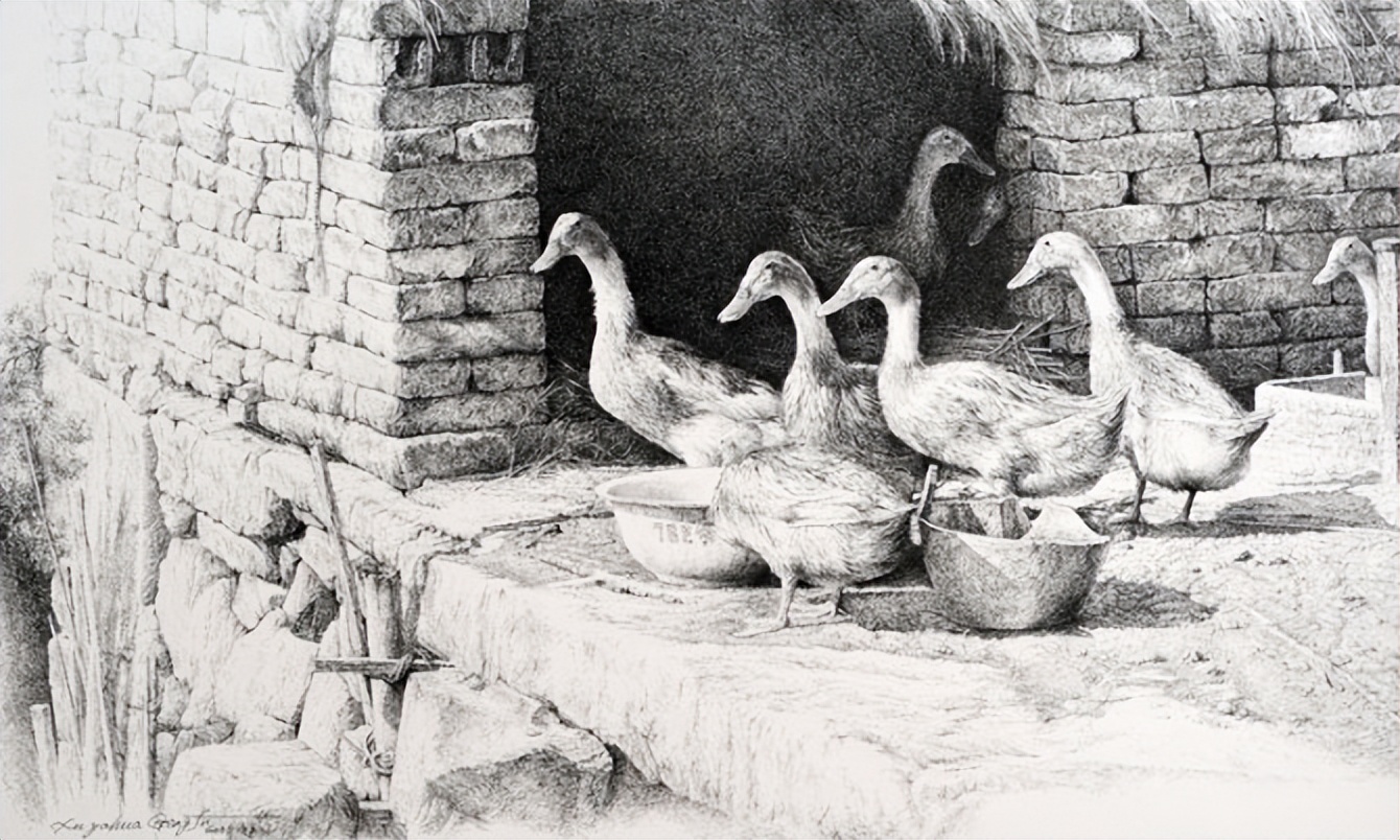 Chinese Art Sketch Sketch (19) Appreciation of Xu Yahua's Pen Sketch ...