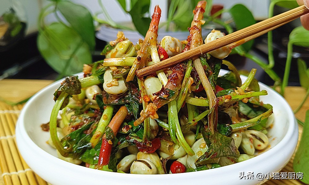 Hudou and zheergen are two kinds of ingredients in spring. It is ...