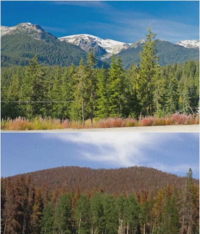 18 photos comparing the past and present of the earth. How long can ...