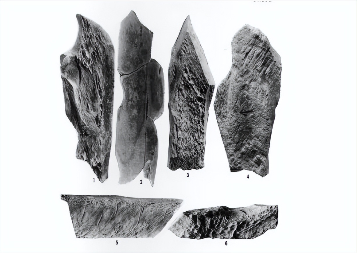 The earliest cultural stages of the Paleolithic: Characterization of ...