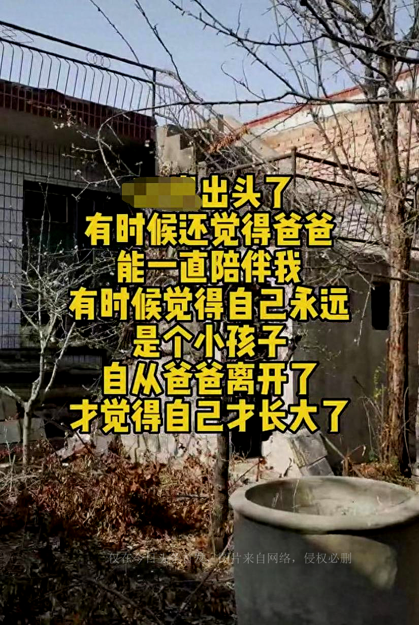 38-year-old Li Jiaming returned to his birthplace in the countryside ...