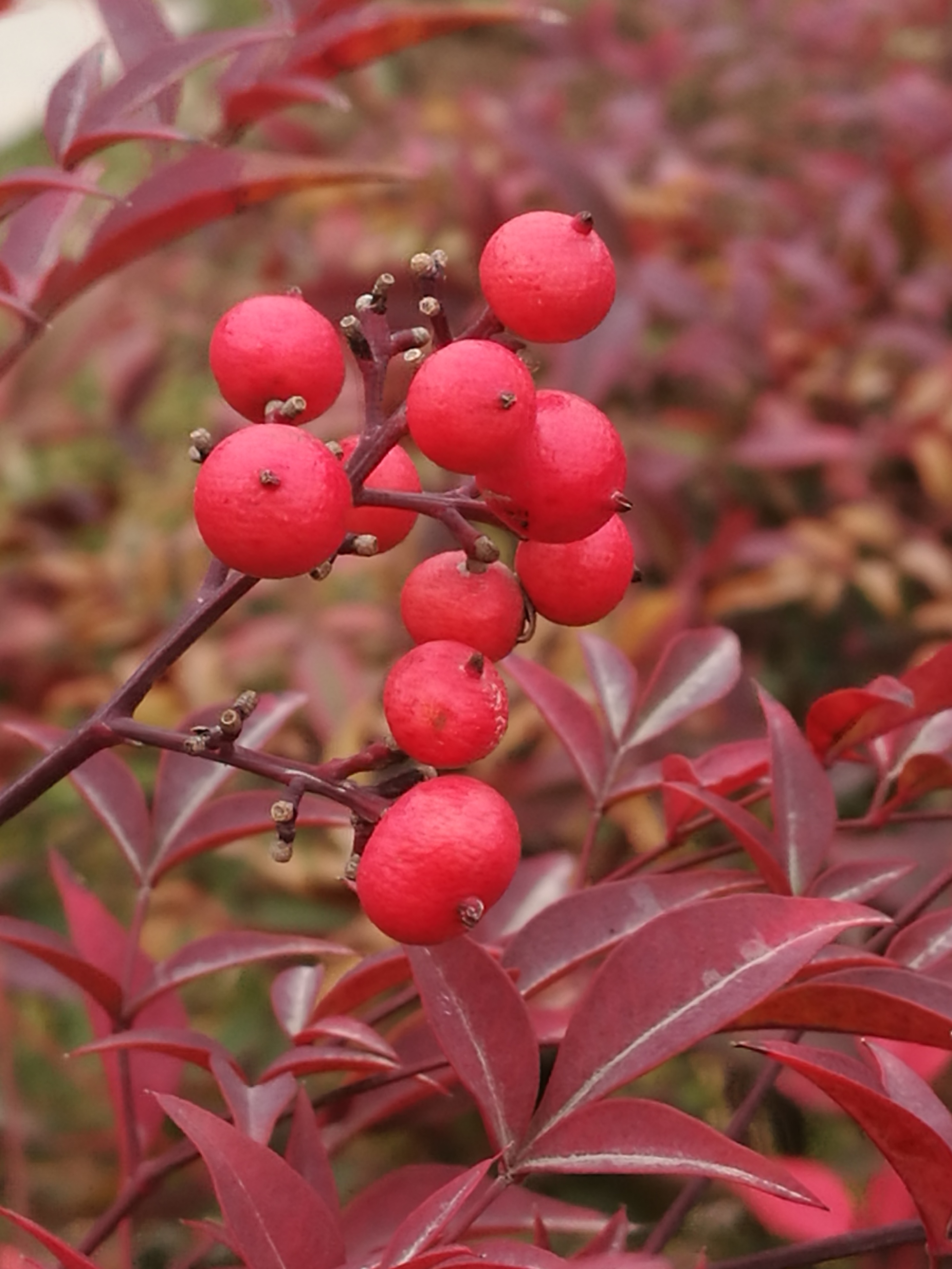 Kong Ming: Winter and Autumn - iNEWS