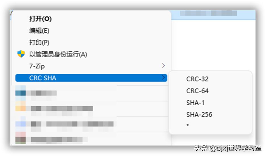Hash value detection tool Although this tool is inconspicuous, it must ...