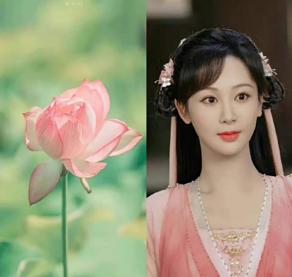 Yang Zi's "Agarwood is like crumbs, agarwood is heavy", Yan Dan's four ...